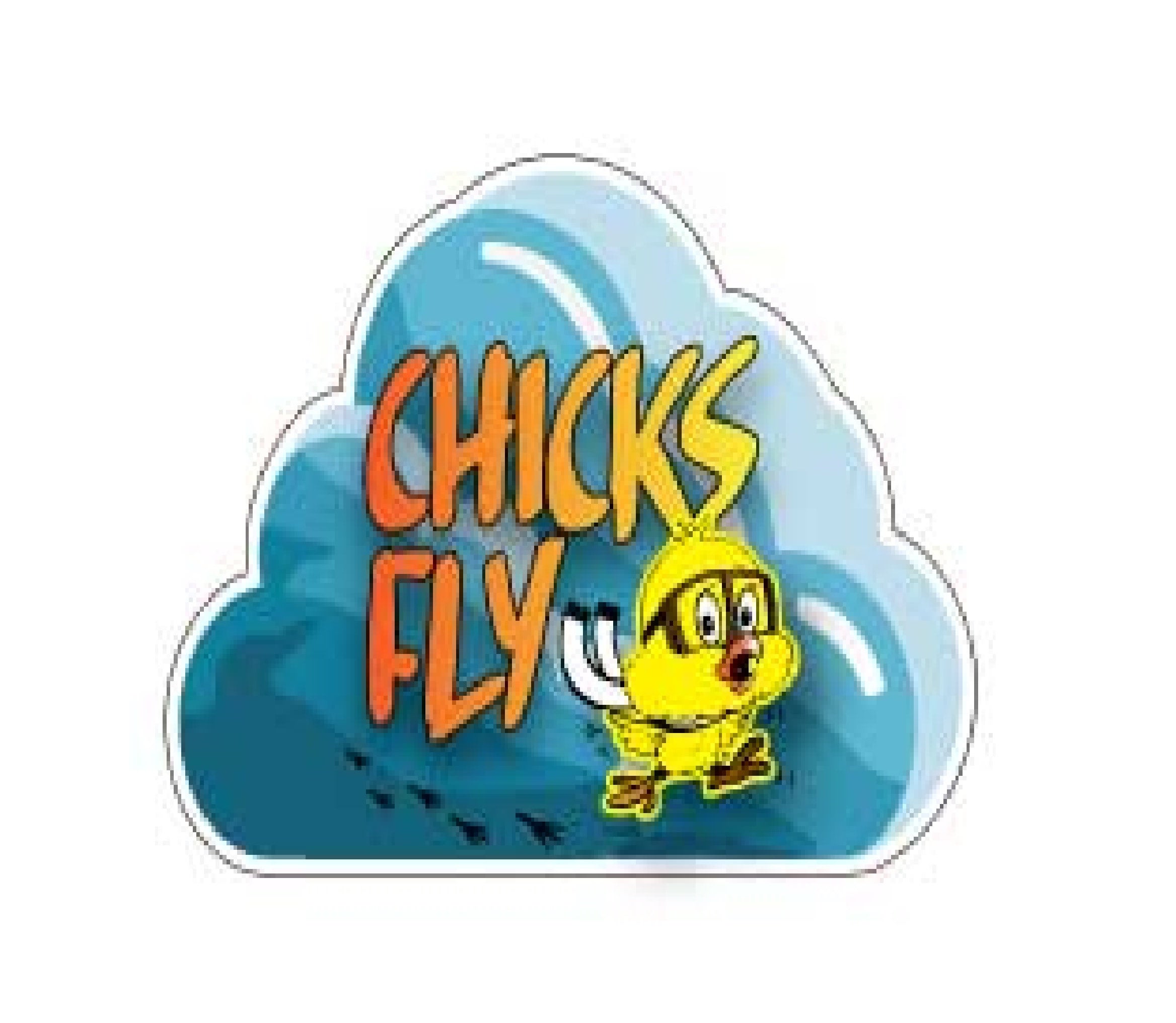 6025 Chicks Fly Sticker | Academy of Model Aeronautics